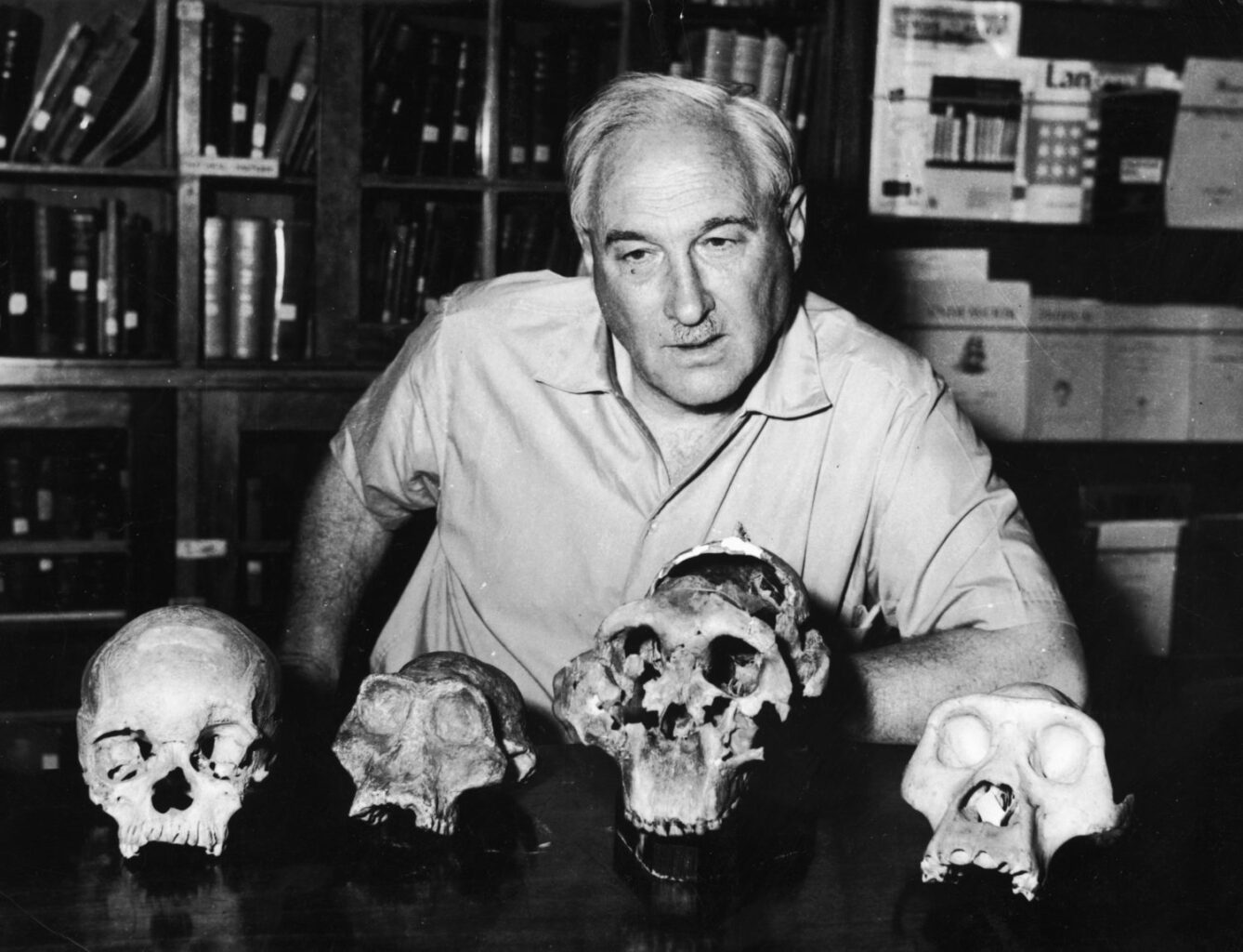 Louis Leakey's Legacy - The Leakey Foundation