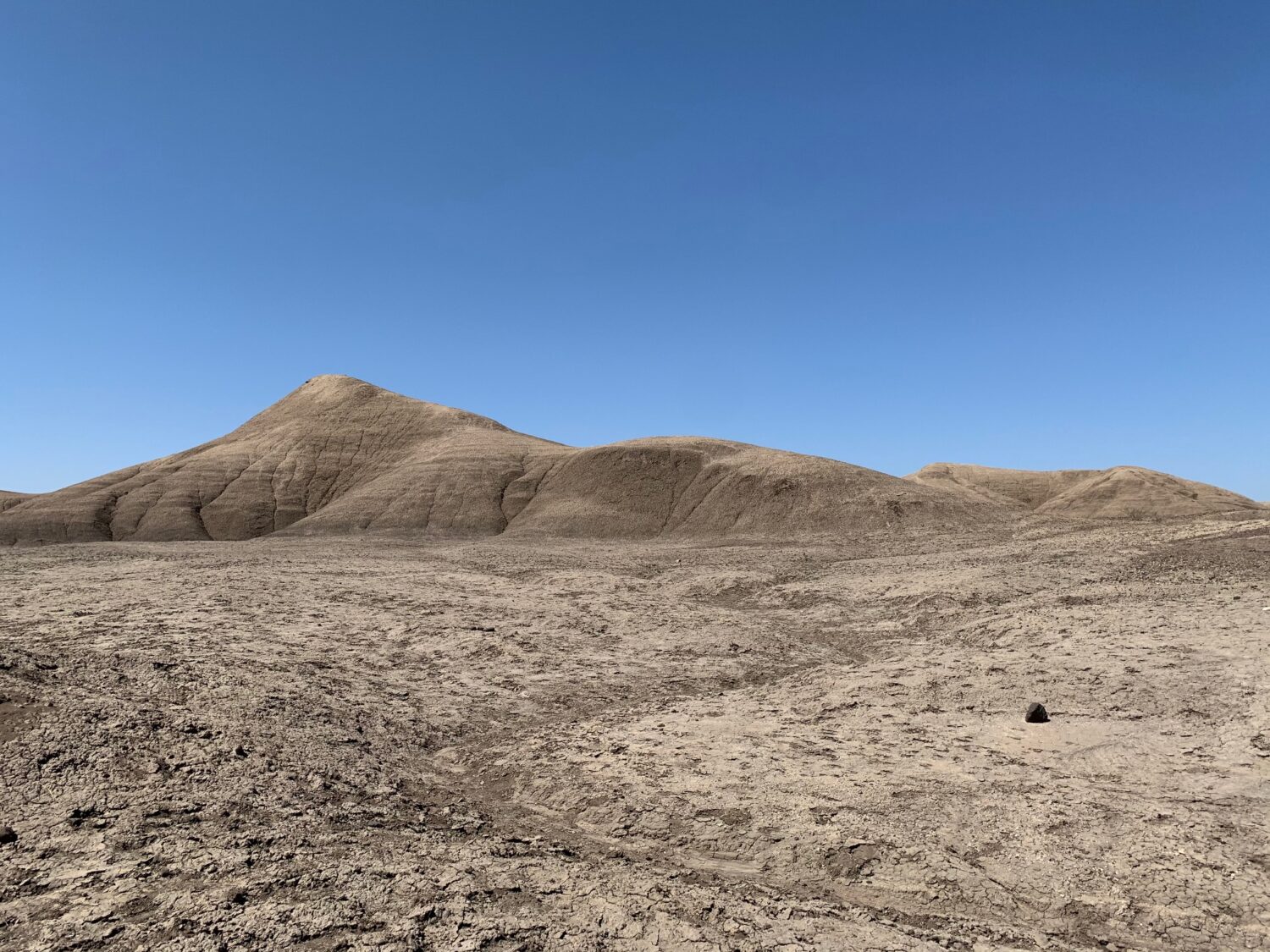Two New Fossil Primate Species Discovered at Gona in Ethiopia - The ...