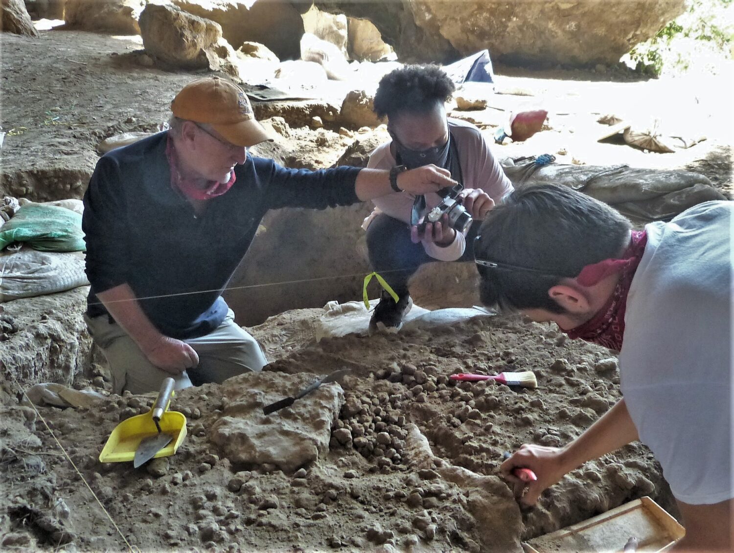 The Leakey Foundation | Introducing our fall 2021 grantees