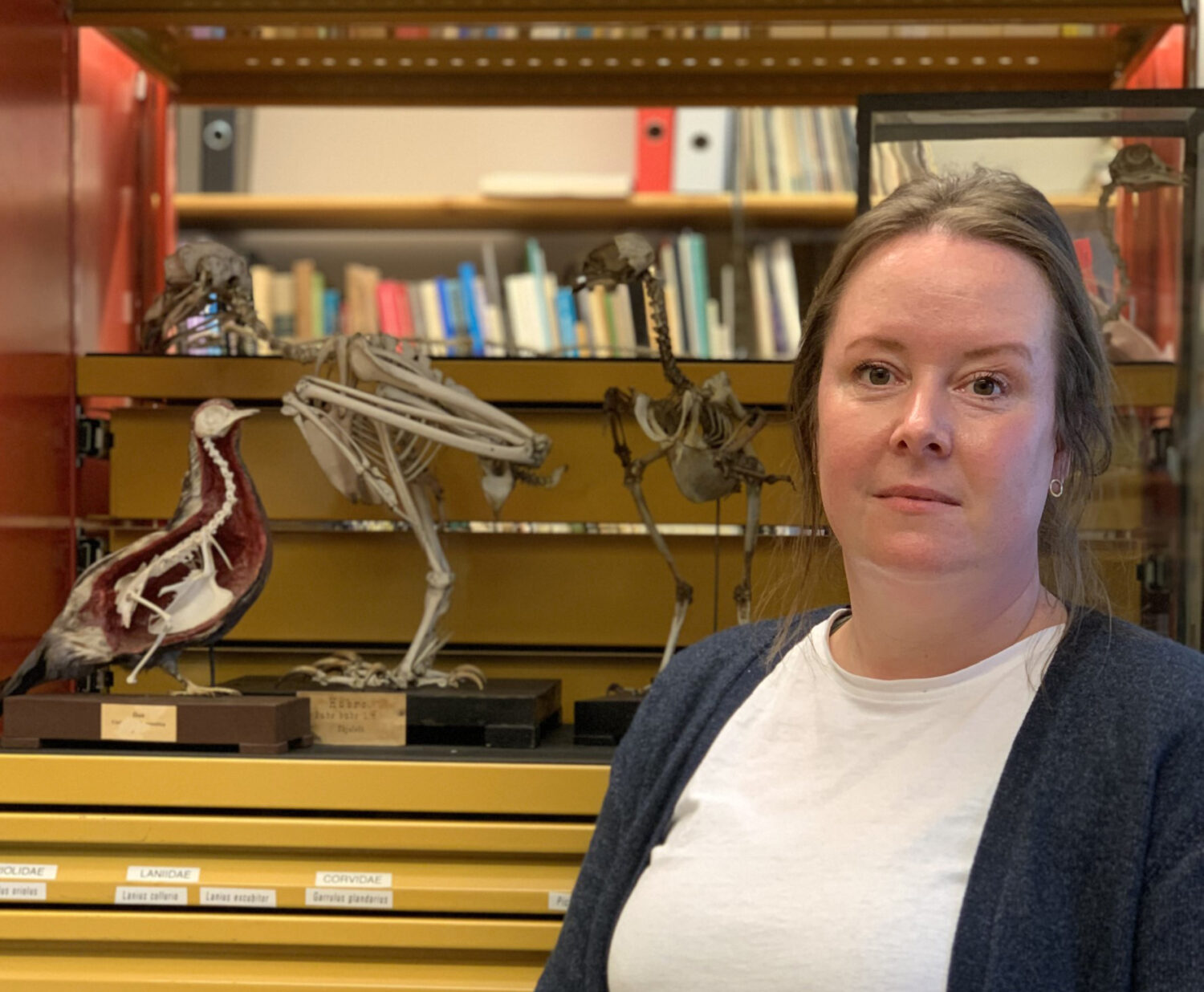 The Leakey Foundation | Introducing the spring 2023 Leakey Foundation ...