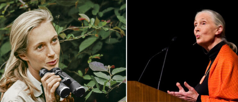 Remembering Jane Goodall (1934-2025) - The Leakey Foundation